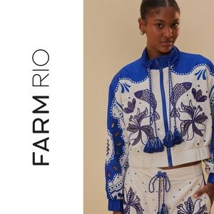 FARM Rio | Shorts | Farm Rio Blue Artisanal Embroidered Shorts Xl ...